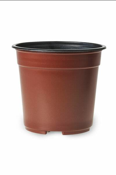 Saksija za rasad Ø 17 TERAKOT visoka | Poljokomerc.rs