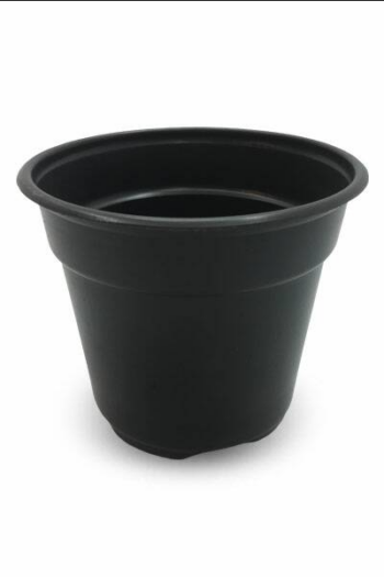 Saksija za rasad Ø 11 CRNA | Poljokomerc.rs