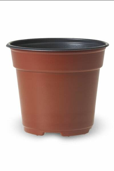 Saksija za rasad | Poljokomerc.rs