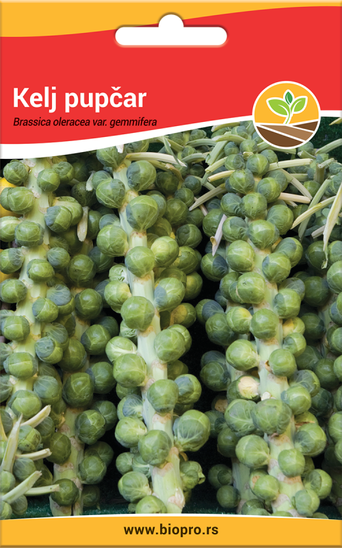 Kelj pupcar herkules 1gr | Poljokomerc.rs