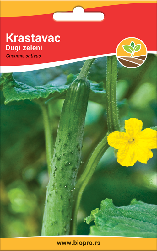 Krastavac dugi zeleni 3gr | Poljokomerc.rs