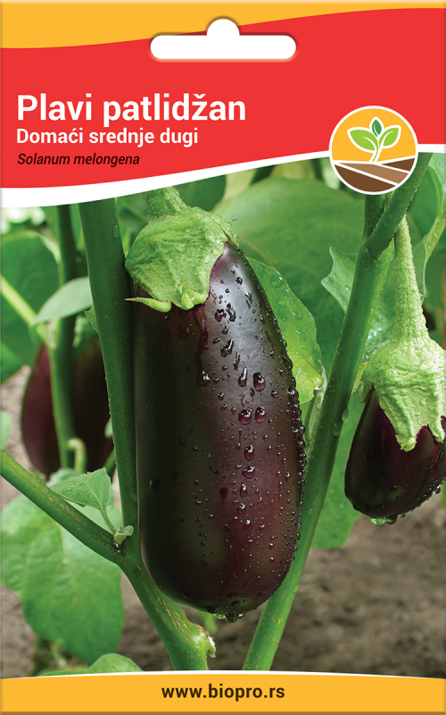Plavi patlidžan domaci srednji dugi 2gr | Poljokomerc.rs