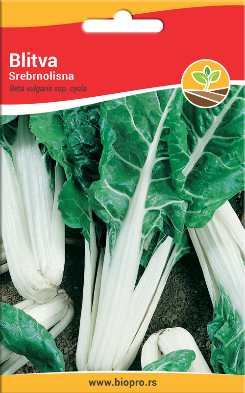 Blitva srebrnolisna 3gr | Poljokomerc.rs