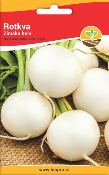 Rotkva zimska bela 5gr | Poljokomerc.rs